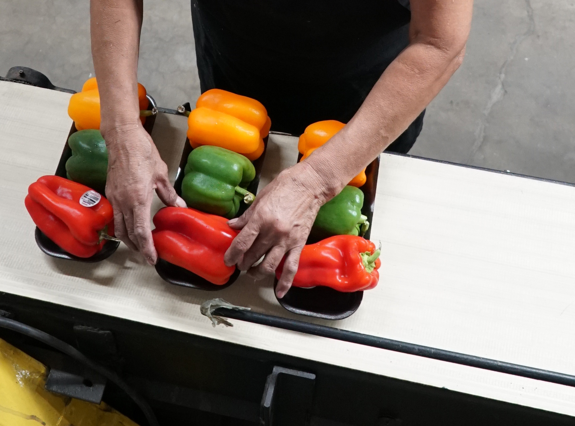 4pl Services – Performance Produce