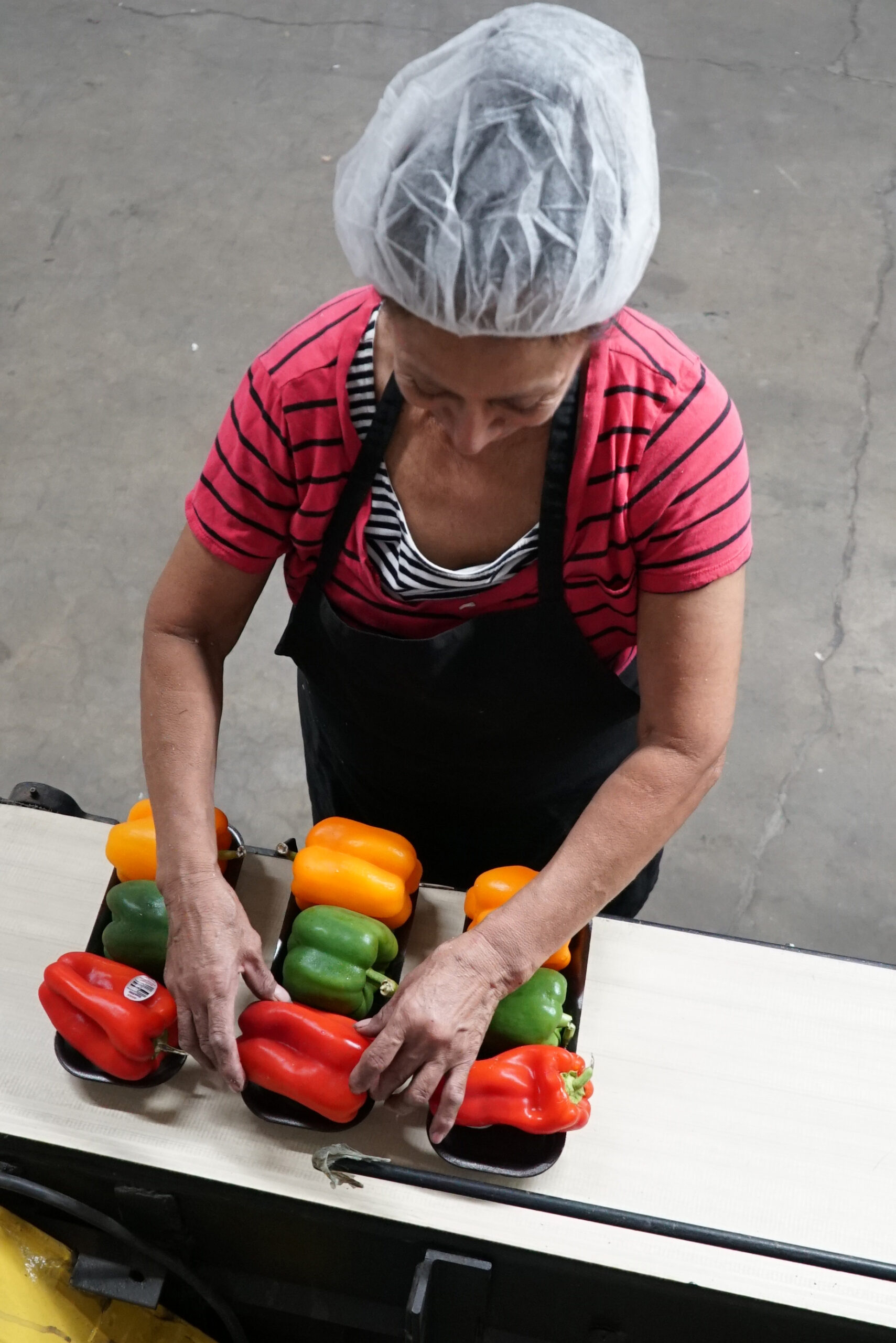 4pl – Performance Produce